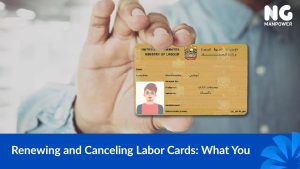 UAE Labor Card: Everything you need to know